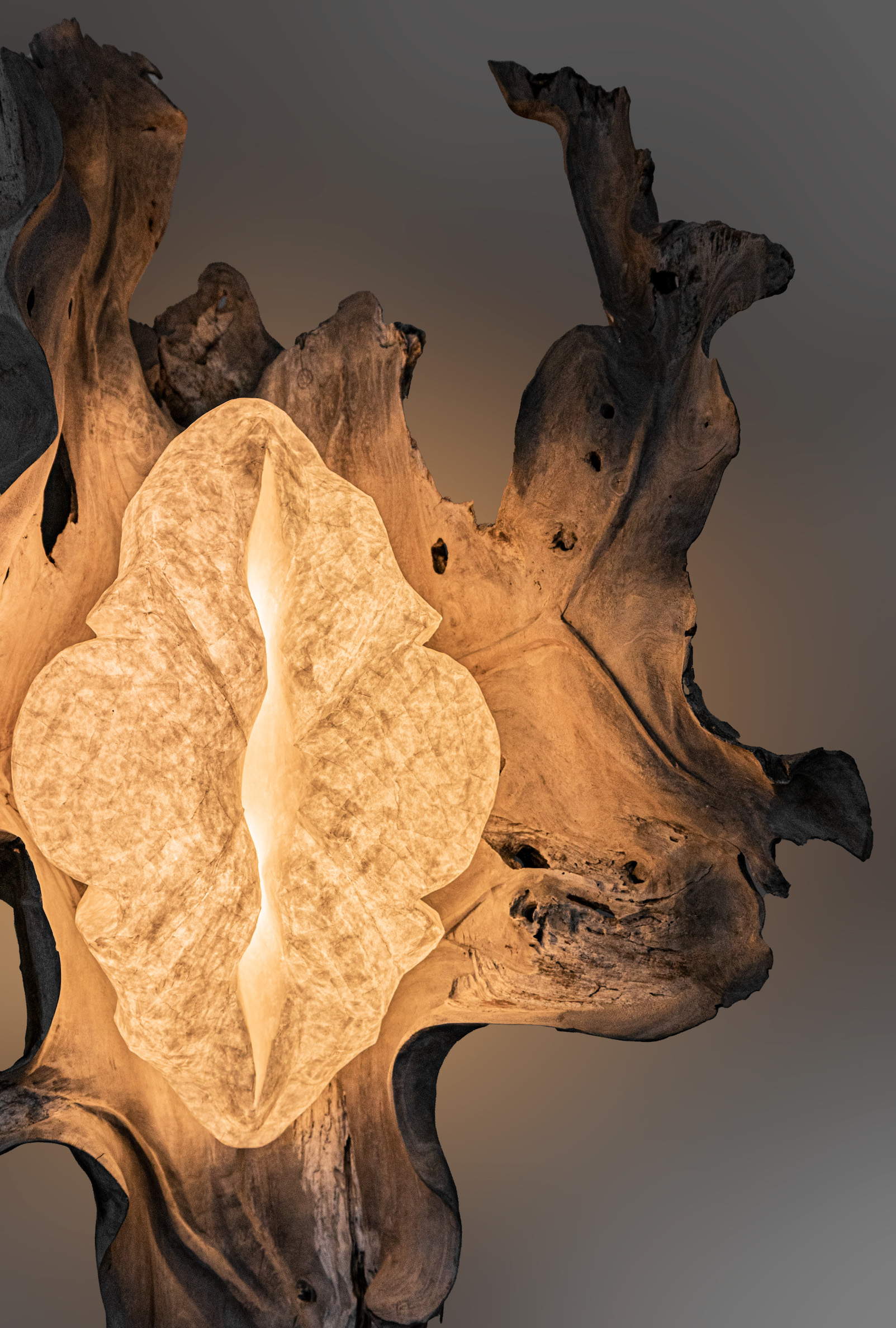 Tom Meijer – Art Gallery Rozendaal